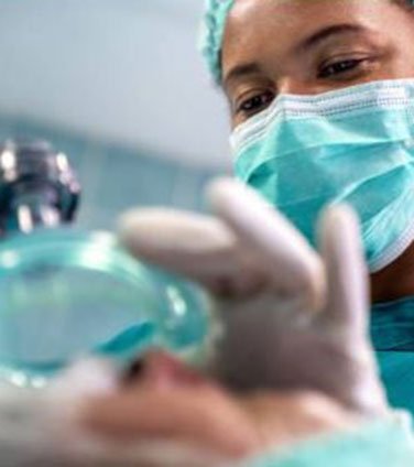 Rhode Island College | Rhode Island College